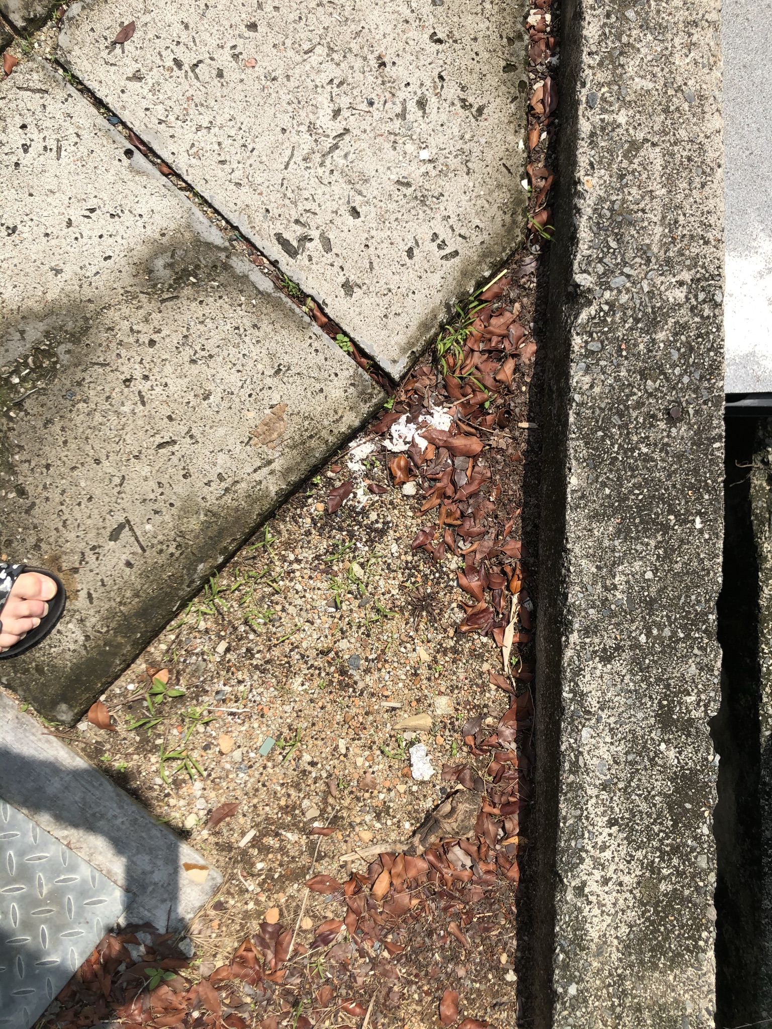 Giving back anxiety that is not yours – Toby Ouvry Meditation