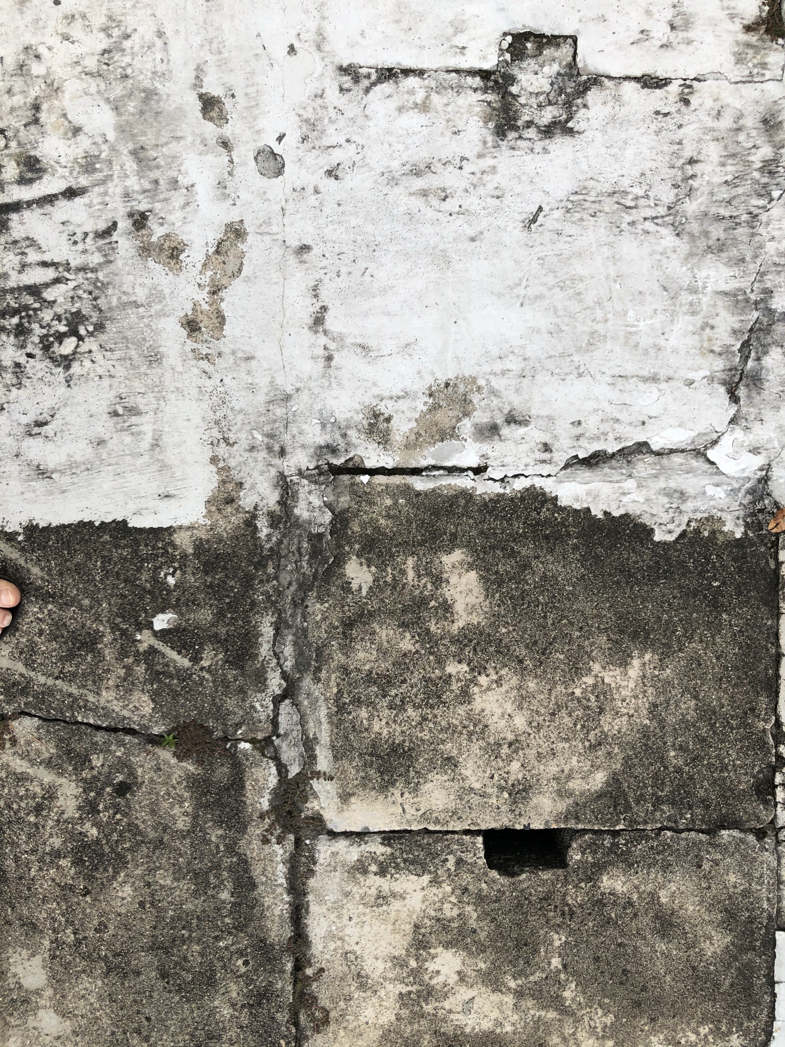 Awakening to your innate wisdom – Toby Ouvry Meditation