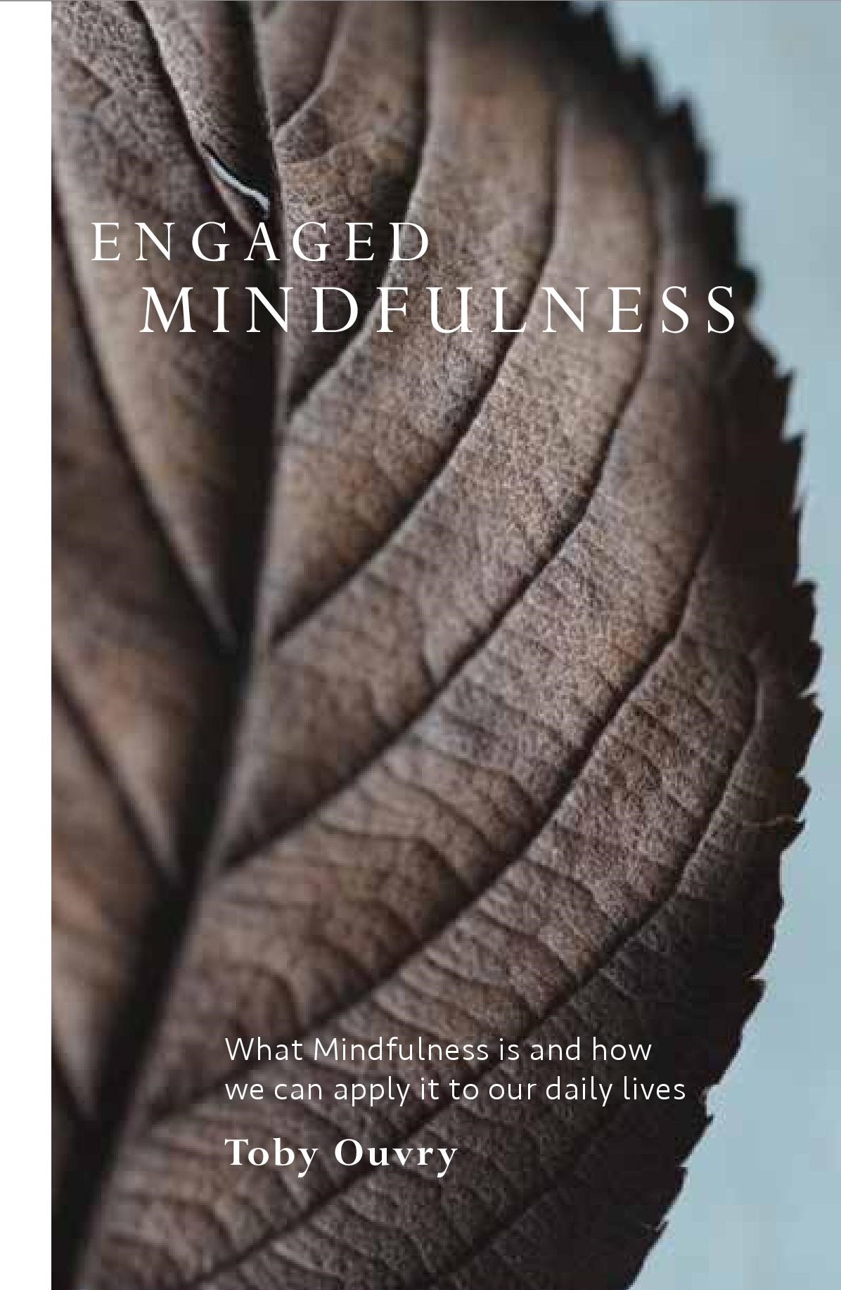 The Engaged Mindfulness book & project – Toby Ouvry Meditation